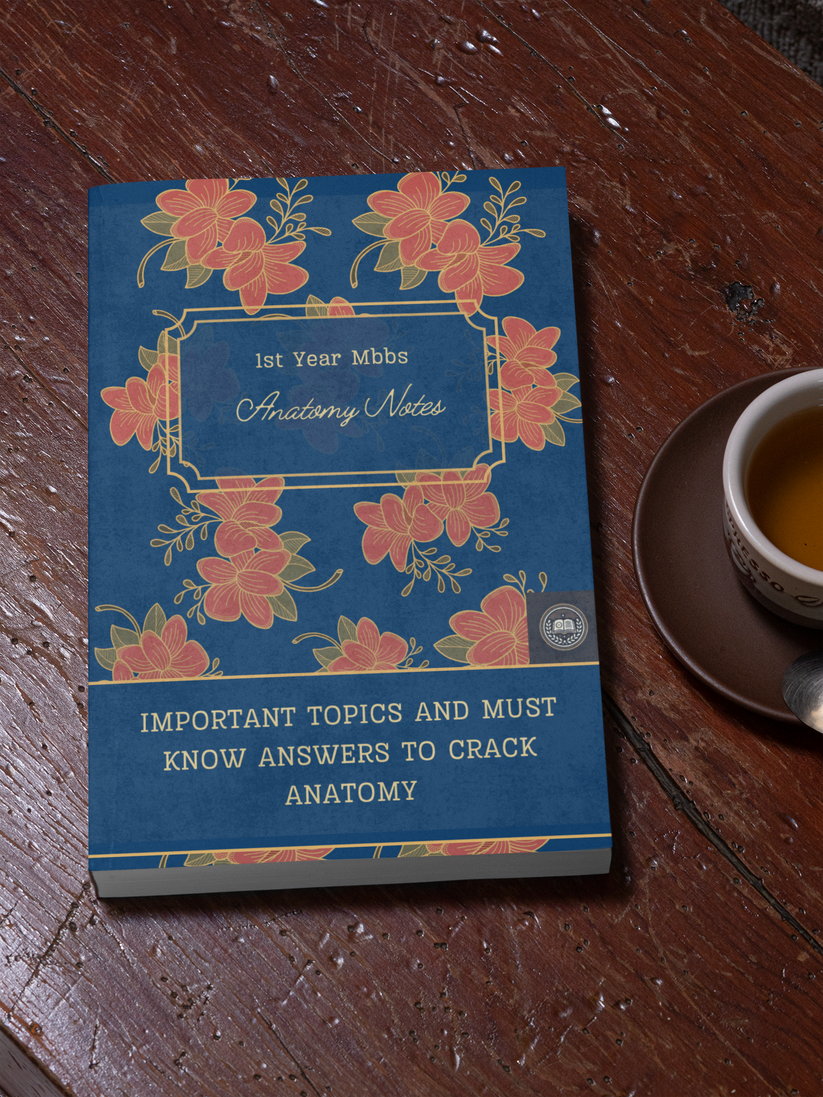 1st Year MBBS Anatomy Notes – Medical Notes