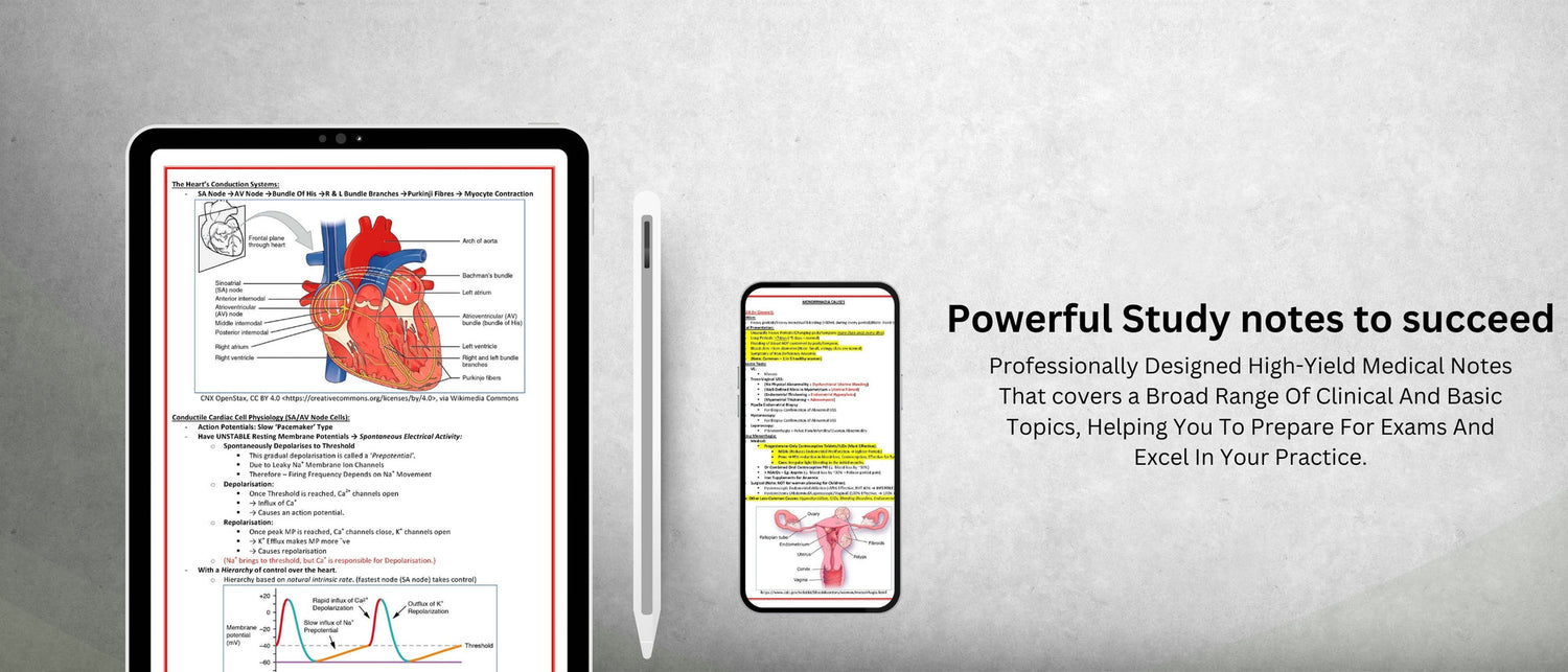 Medical Notes